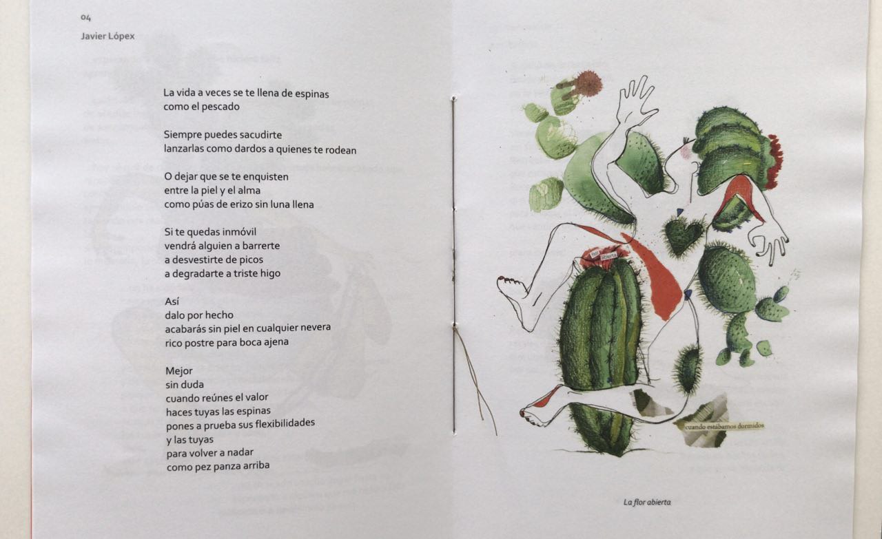 de púas y espinas – javierlópex